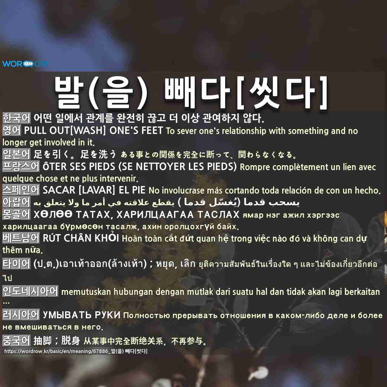 발(을) 빼다[씻다]: PULL OUT[WASH] ONE'S FEET